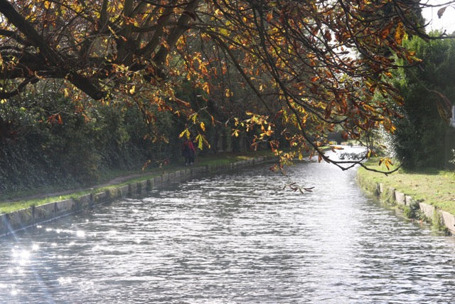 Find out some facts about the New River (fact number one: it is not ne ...